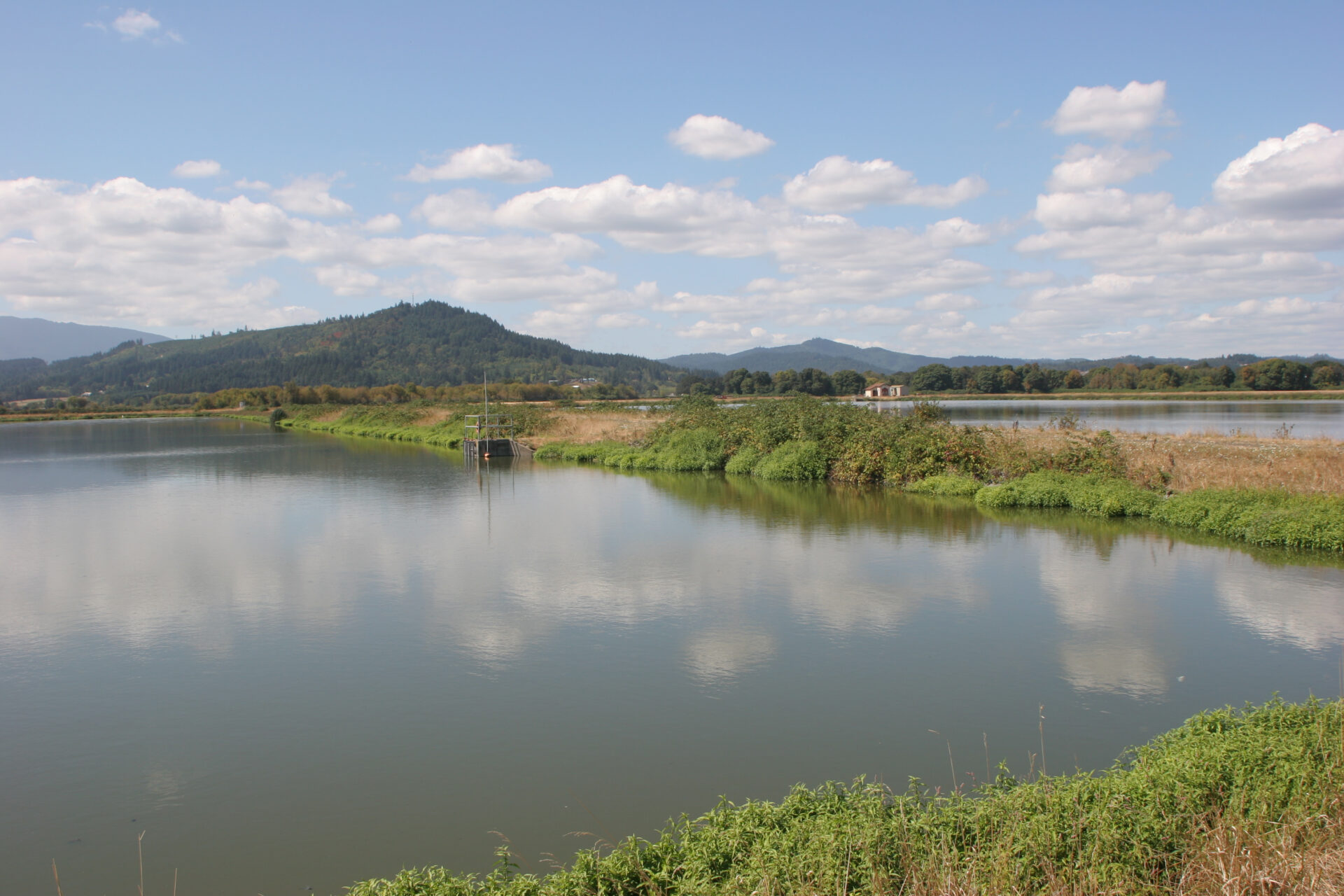 Drop-In Specs | Viaflex